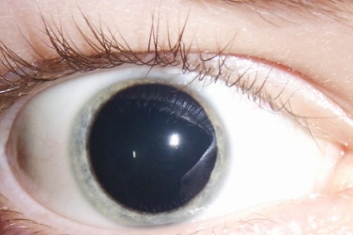 La cocaína y sus males - Radio Reloj, emisora cubana de la hora y las ...