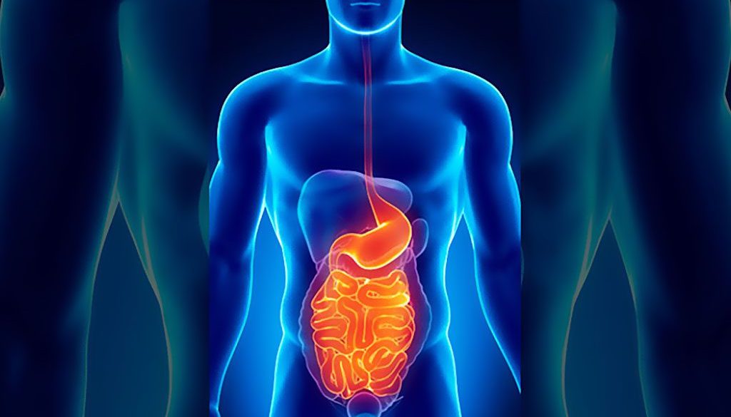 Juntos por una mejor salud digestiva - Radio Reloj, emisora cubana de ...