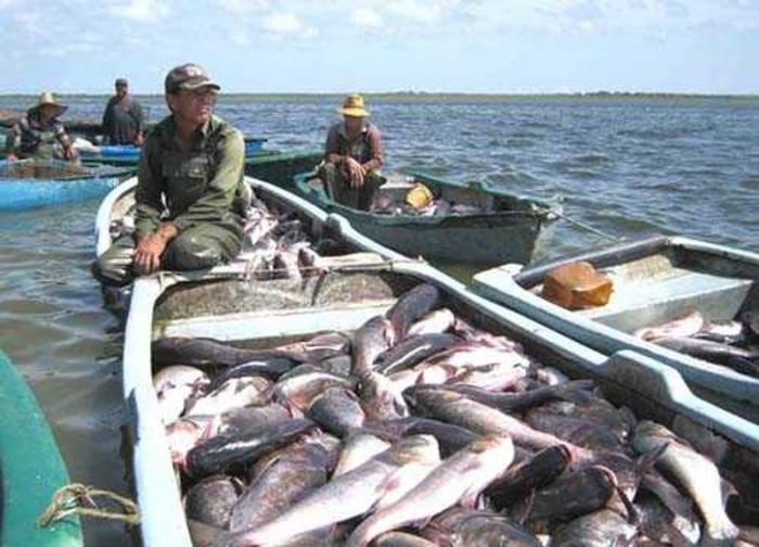 Cuba con regulaciones necesarias en la pesca - Radio Reloj, emisora ...